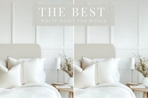 The Best White Paint For Walls ~ 10 Stunning Suggestions