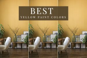 The Best Yellow Paint Colors To Use In Any Space! - Your Home Inspo